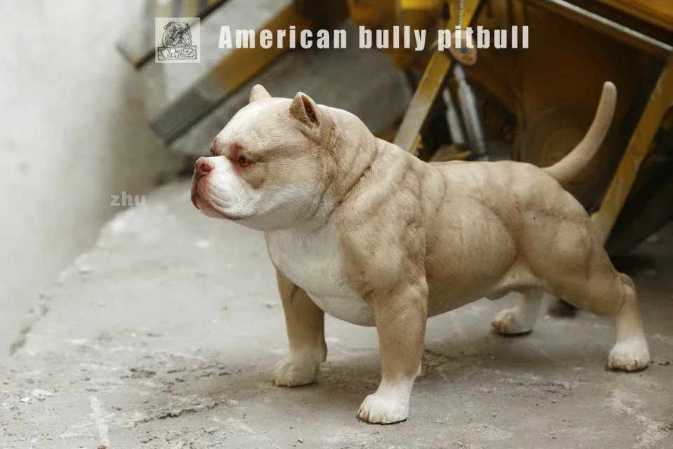 American Bully Pitbull Dog (Beige) / QUICK-TOY