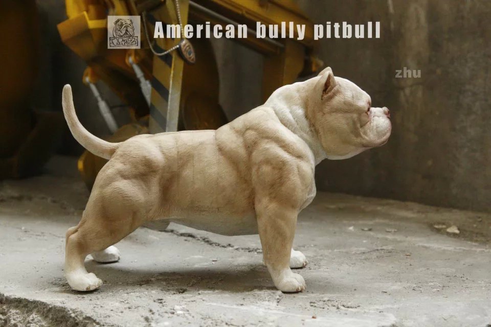Chiot Pitbull Beige Chiot Pitbull Noir Et Blanc En Plein Air | Photo