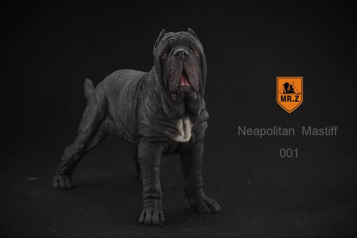 Chien Mâtin Napolitain (Noir) - Machinegun