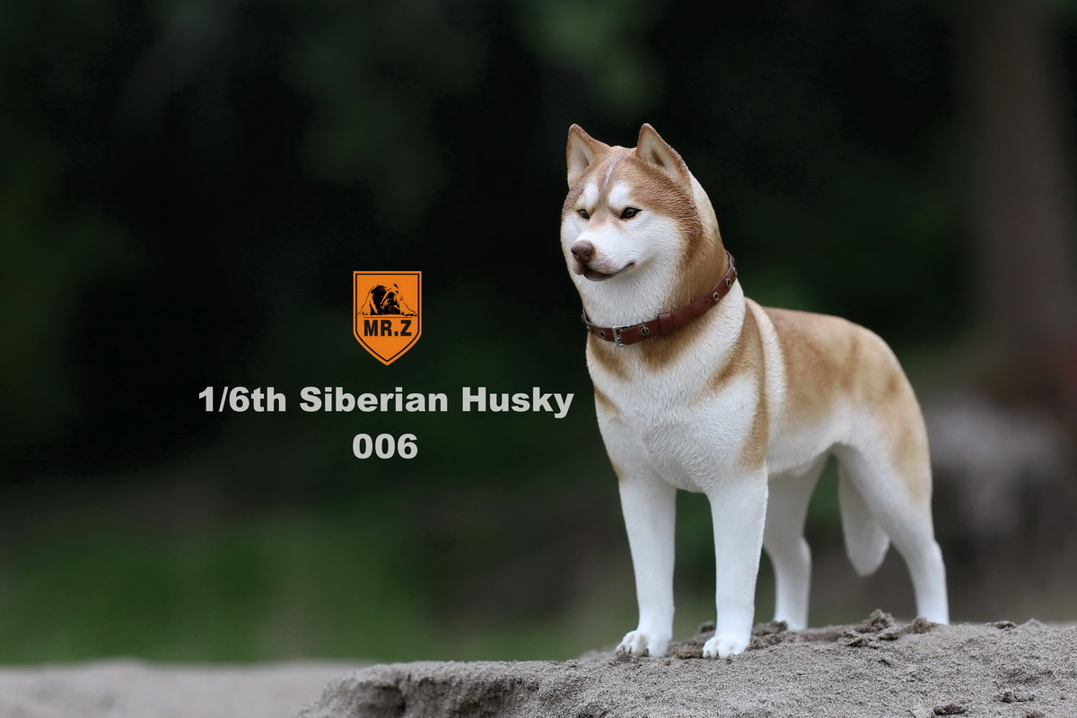 Chien Husky sibérien (Marron) / QUICK-TOY