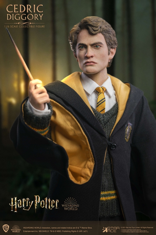Cedric Diggory Harry Potter